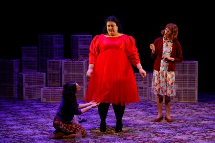 Stories of M - Looking For Alibrandi